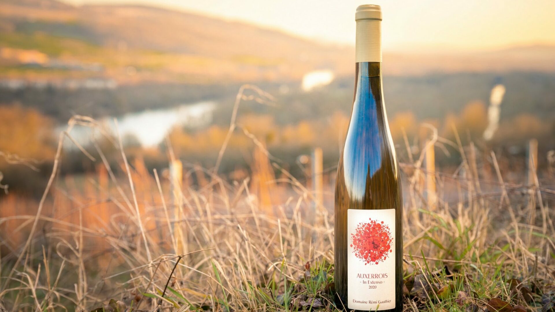 Domaine Rémi Gauthier - Vins AOC Moselle